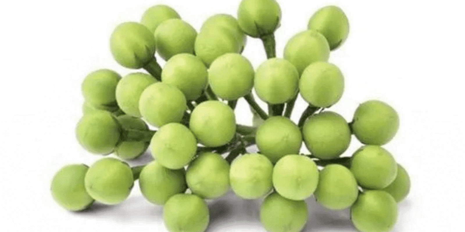 Health Benefits of Sundakkai A Natural Cure for Better Life